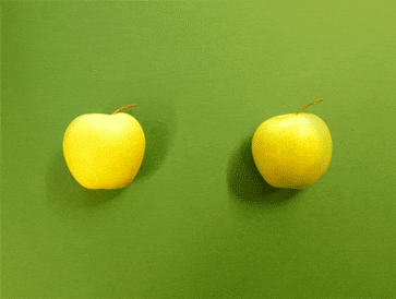 Apple GIF Find Share On GIPHY