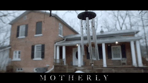 Movie Film GIF by Raven Banner Entertainment - Find & Share on GIPHY