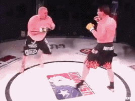 Boxing GIF - Find & Share on GIPHY