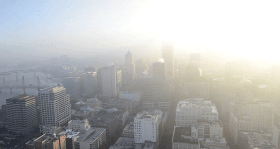 Smoke City GIF by hateplow - Find & Share on GIPHY