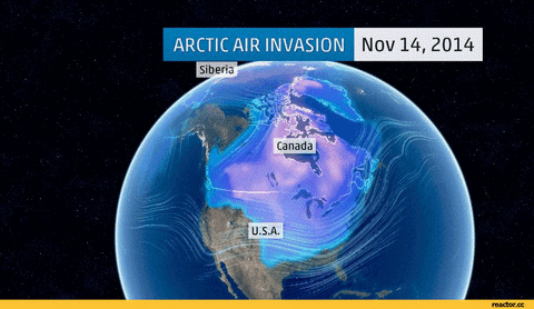 Cold GIF - Find & Share on GIPHY