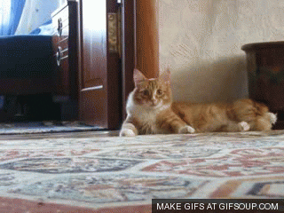 Dramatic Exit GIFs - Find & Share on GIPHY