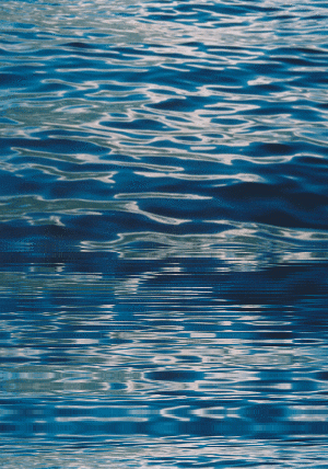 Water GIF - Find & Share on GIPHY