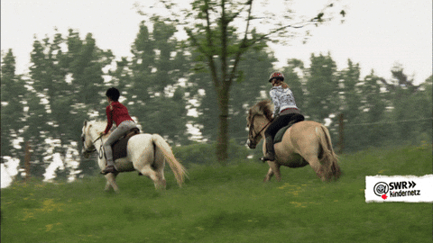Horse Riding GIF by SWR Kindernetz - Find & Share on GIPHY