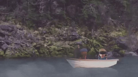 Camping Bird Box GIF by Fluffy Friends - Find & Share on GIPHY