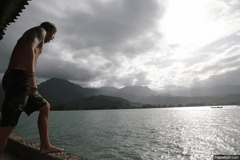 Stand Up GIF - Find & Share on GIPHY