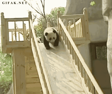 Fun Images GIF - Find & Share on GIPHY