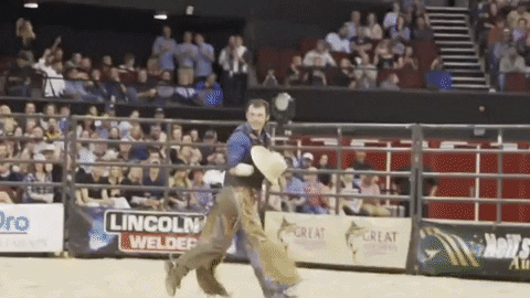 Celebration GIF by Professional Bull Riders (PBR) - Find & Share on GIPHY
