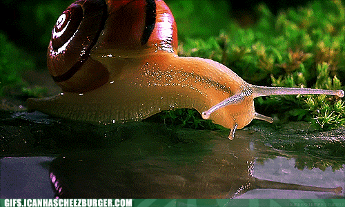 Page GIF by Cheezburger - Find & Share on GIPHY