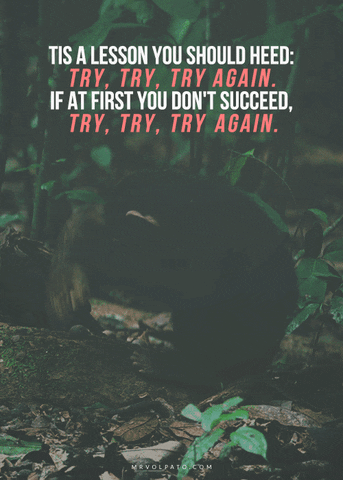 Try Again GIF - Find & Share on GIPHY