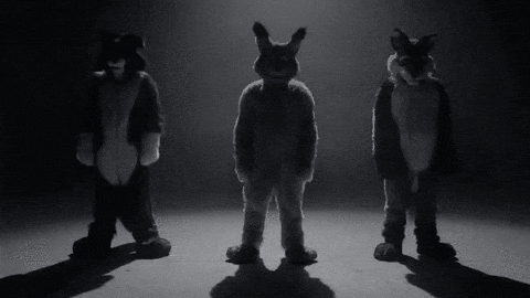 Furries GIFs - Find & Share on GIPHY