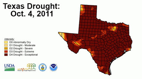 Drought GIF - Find & Share on GIPHY
