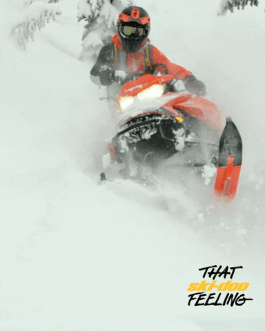 Fun Snow GIF - Find & Share on GIPHY
