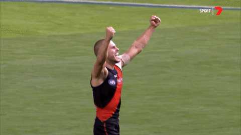 Sport Fans GIF by Essendon FC - Find & Share on GIPHY