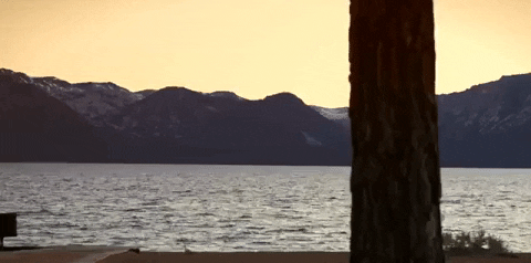 Nevada GIF - Find & Share on GIPHY