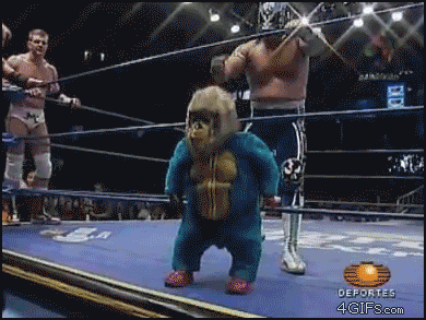 Pro Wrestling GIF - Find & Share on GIPHY