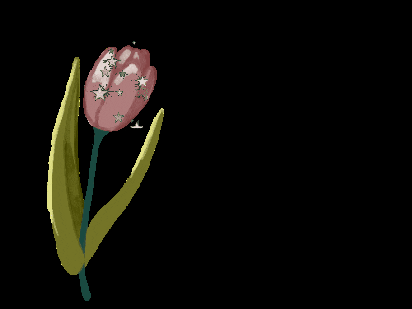 Illustration Flowering GIF - Find & Share on GIPHY