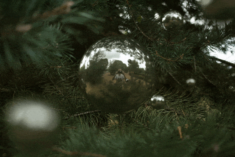 Reflection GIF - Find & Share on GIPHY