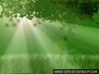 Garden GIF - Find & Share on GIPHY
