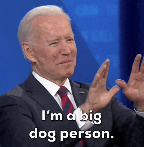 Joe Biden GIF by GIPHY News - Find & Share on GIPHY