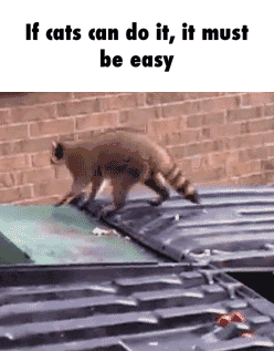 Try Again GIF - Find & Share on GIPHY