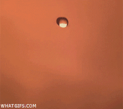 Drops GIF - Find & Share on GIPHY