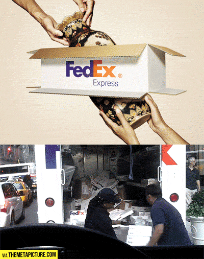Fedex GIF - Find & Share on GIPHY
