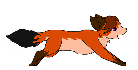 Fox GIF - Find & Share on GIPHY