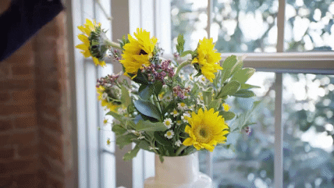 Flowers Gardening GIF by Splunk - Find & Share on GIPHY