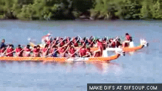 Boat GIF - Find & Share on GIPHY