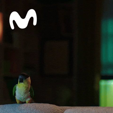 Hola Que Tal Movistar GIF - Find & Share on GIPHY