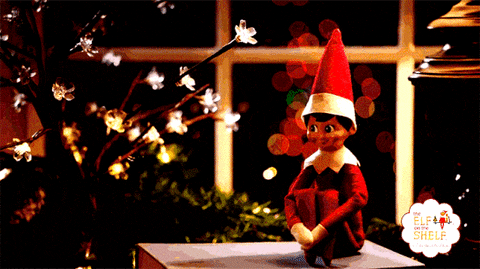 Elf GIF - Find & Share on GIPHY