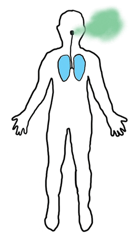 Oxygen-Os GIFs - Find & Share on GIPHY