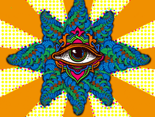 Hallucinating GIFs - Find & Share on GIPHY