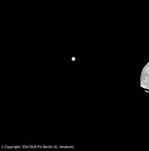 Alignment GIFs - Find & Share on GIPHY