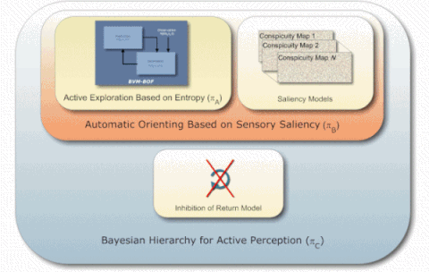 Perception GIFs - Get the best GIF on GIPHY