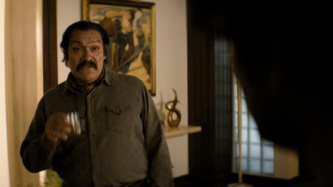 Mexico Narcos GIF by netflixlat - Find & Share on GIPHY