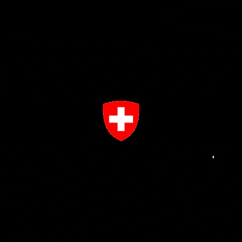 Switzerland GIF by taucherli - Find & Share on GIPHY