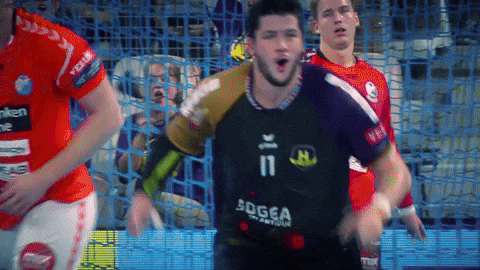 Handball GIF by EHF - Find & Share on GIPHY