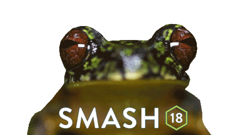 Frog Smash Sticker by WGBH Boston for iOS & Android | GIPHY