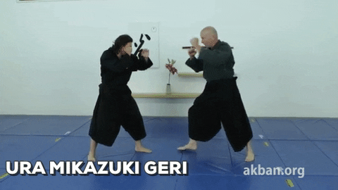 Martial Arts Fight GIF by AKBAN Academy - Find & Share on GIPHY