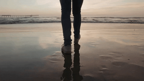 Summer Beach GIF by Northwood Church - Find & Share on GIPHY