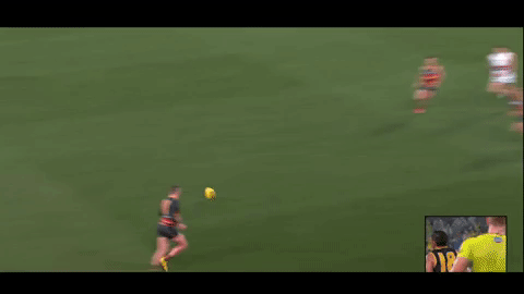 Afl GIF by Adelaide Crows - Find & Share on GIPHY