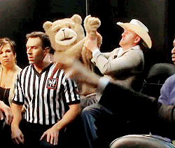 The Bear GIFs - Find & Share on GIPHY