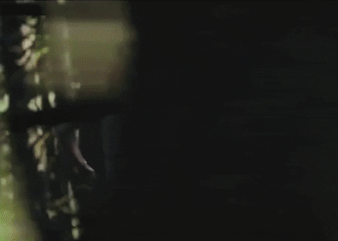 Wonder GIF by Shawn Mendes - Find & Share on GIPHY