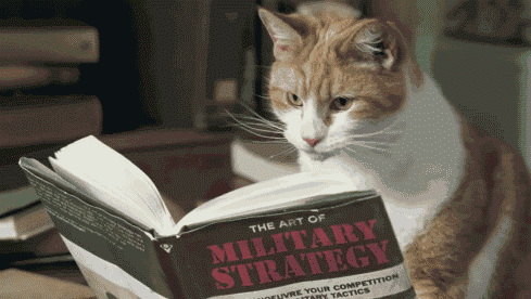 Book Club Funny Gifs