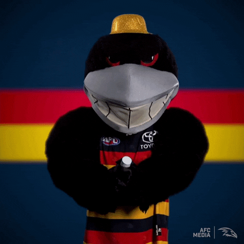 Afl Claude GIF by Adelaide Crows - Find & Share on GIPHY