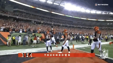 Cincinnati Bengals Football GIF by NFL - Find & Share on GIPHY