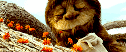 Wild Things GIFs - Find & Share on GIPHY