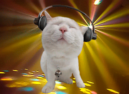 Disco GIF - Find & Share on GIPHY